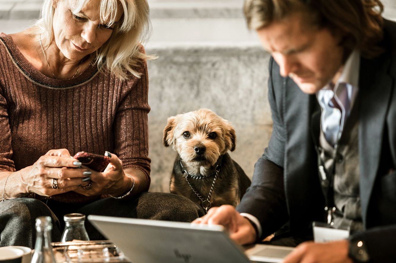 About Pandox | Pandox